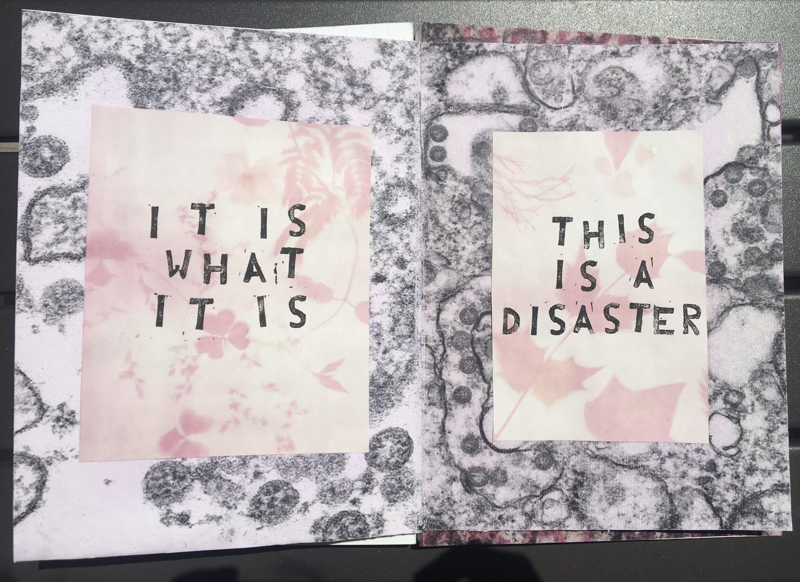 How Are You Holding Up? – Elizabeth MacMillan